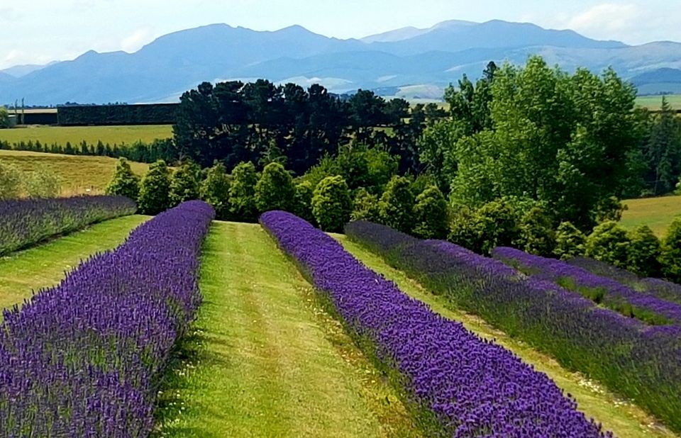 Limestone Valley Estate – Limestone Valley Estate